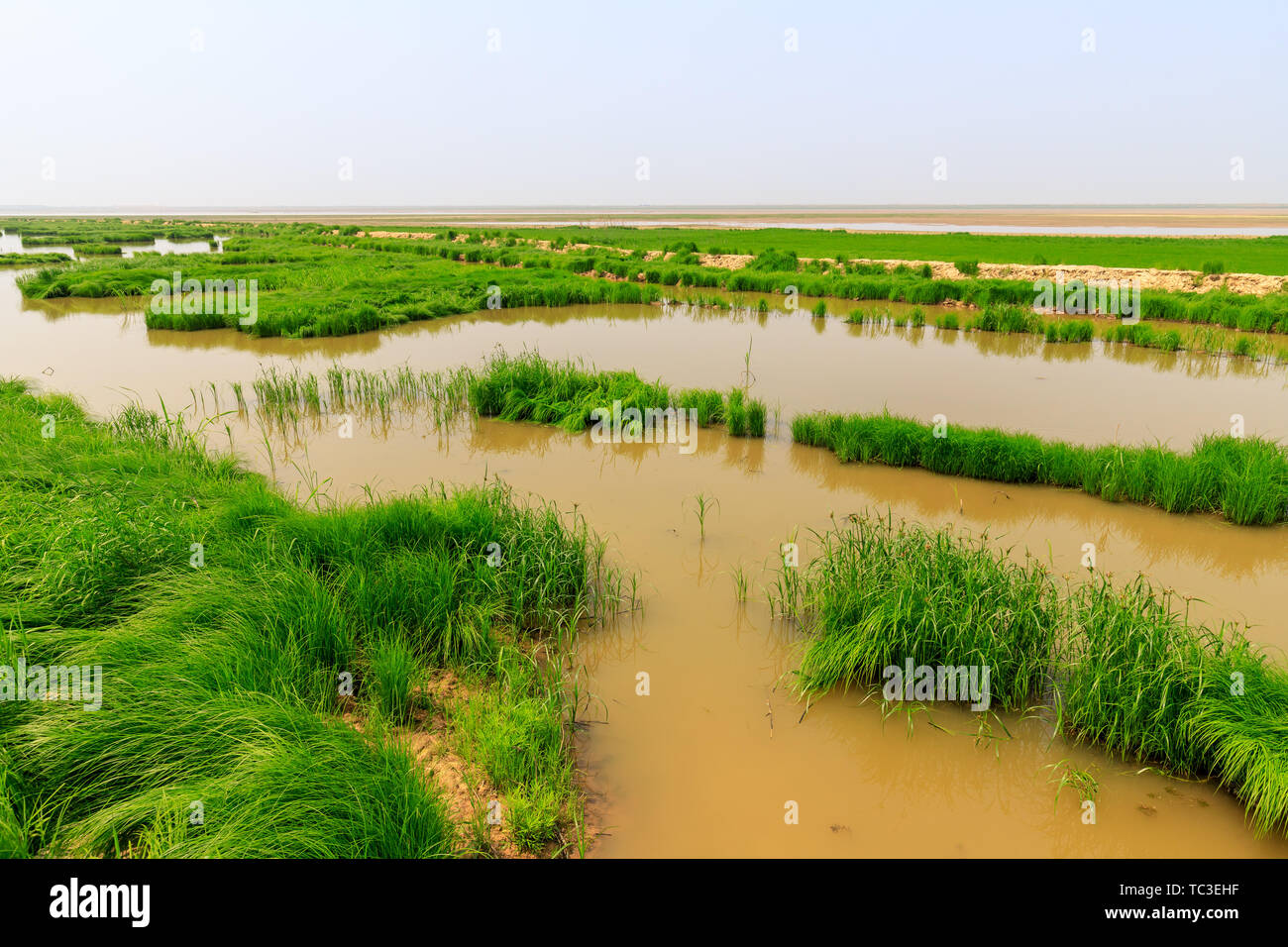Poyang Lake Nanji Wetland Stock Photo - Alamy