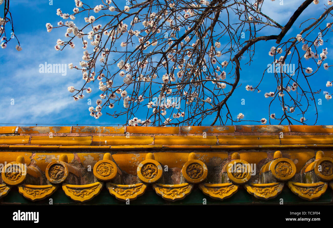 Spring at the Forbidden City Stock Photo - Alamy