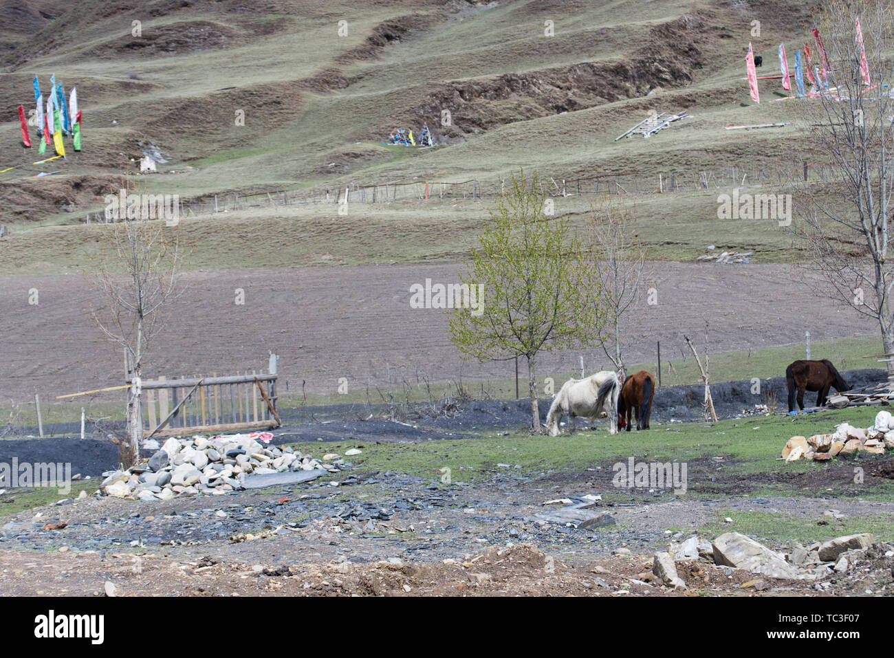 Kawanishi kawanishi hi-res stock photography and images - Alamy