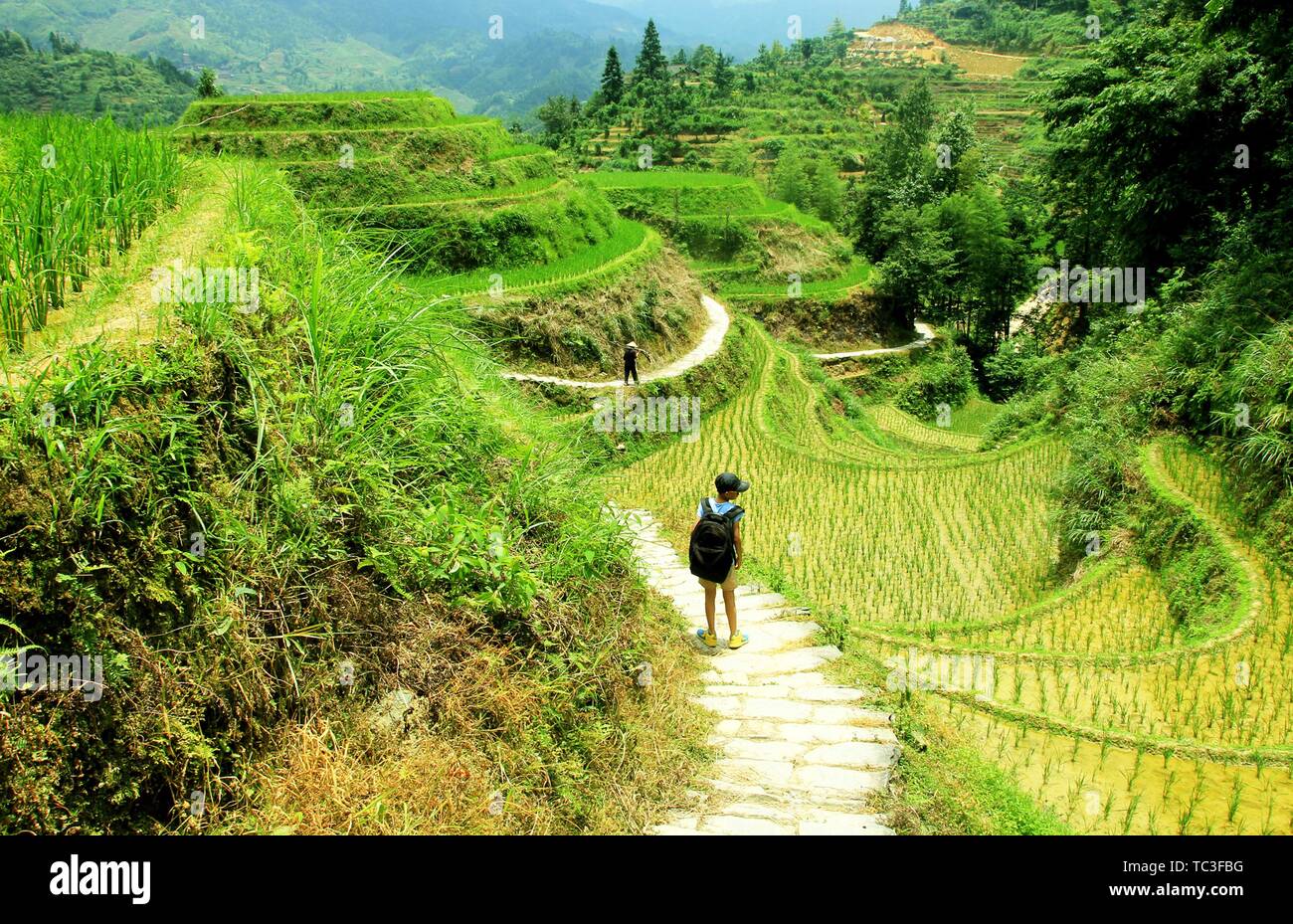 Green dragon ridge hi-res stock photography and images - Alamy