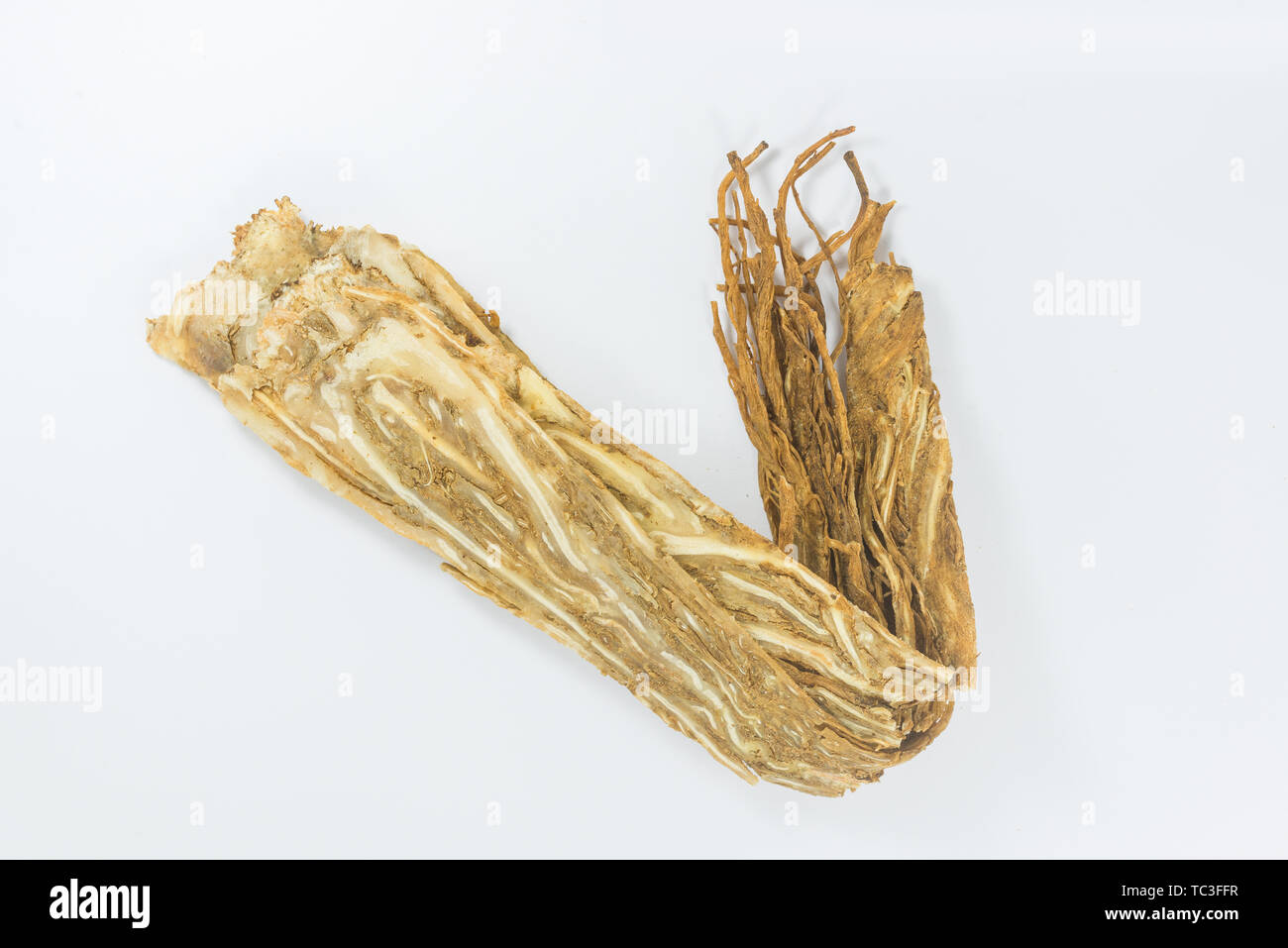 Angelica on white background Stock Photo - Alamy