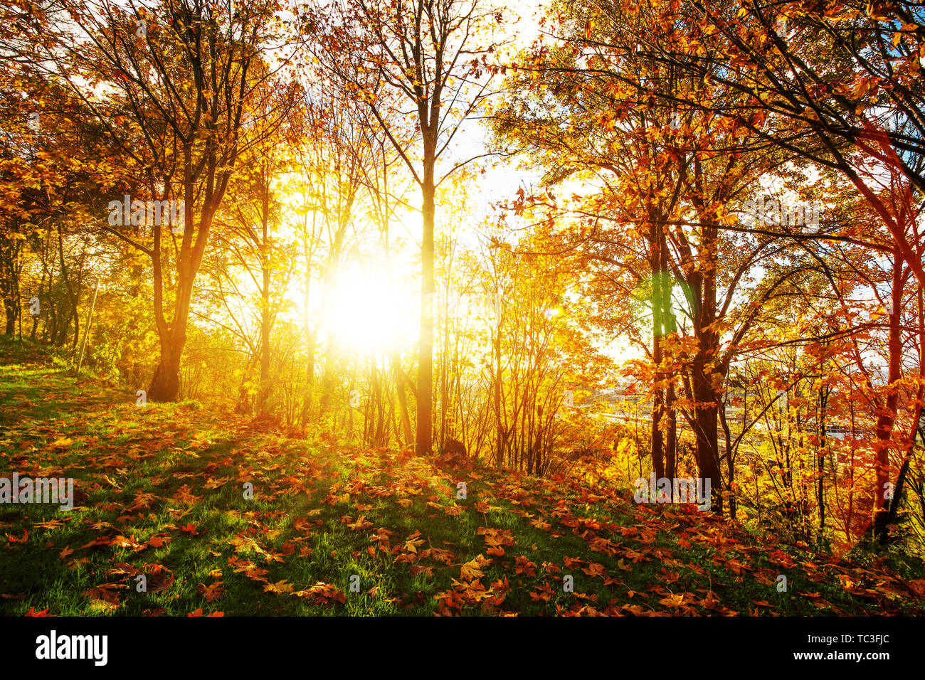 Seattle countryside hi-res stock photography and images - Alamy