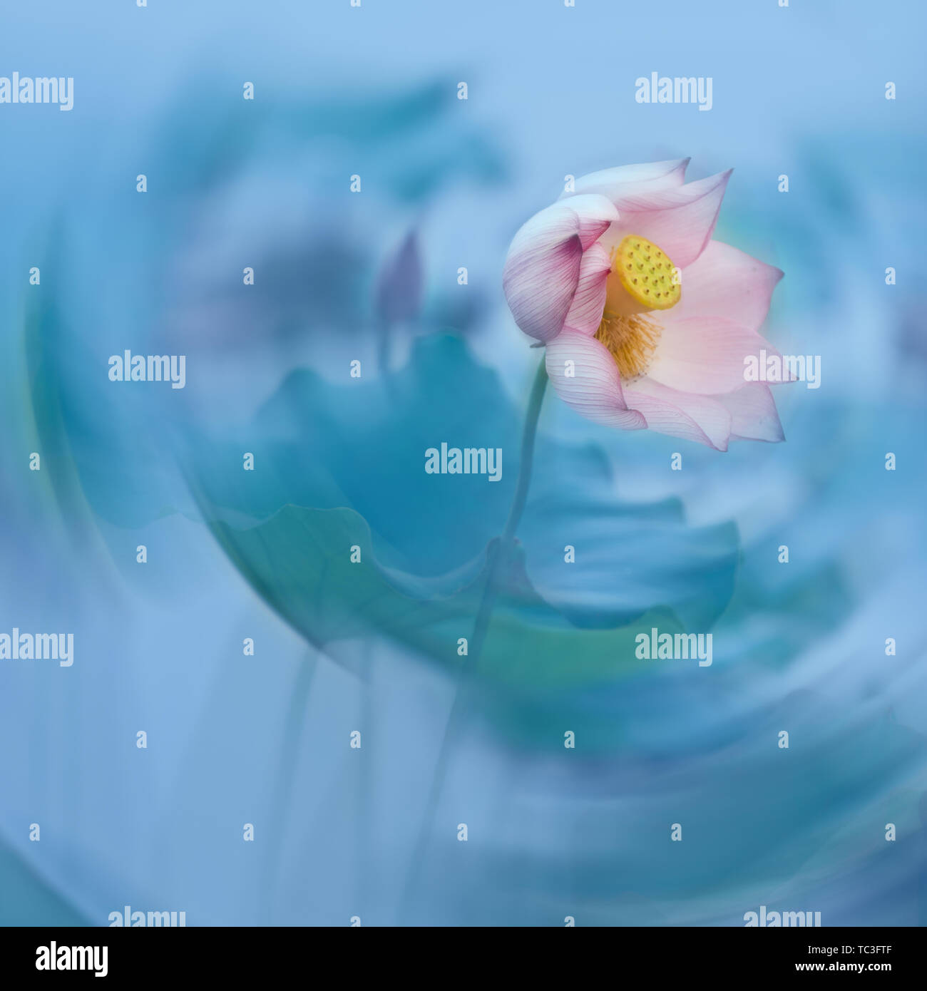 Screensaver screen hi-res stock photography and images - Alamy