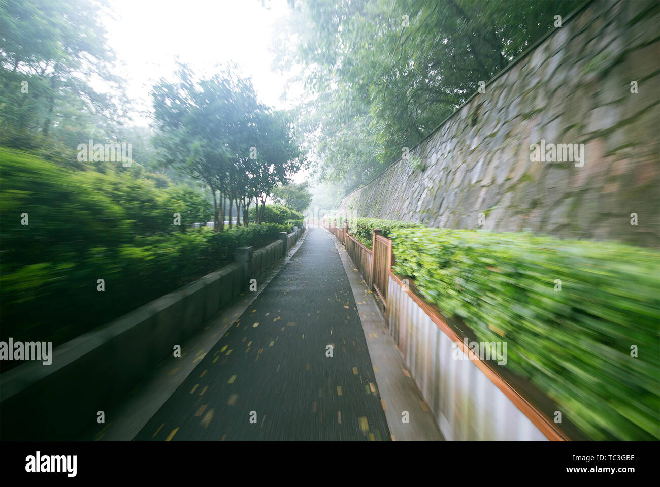 Hurriedly hi-res stock photography and images - Alamy