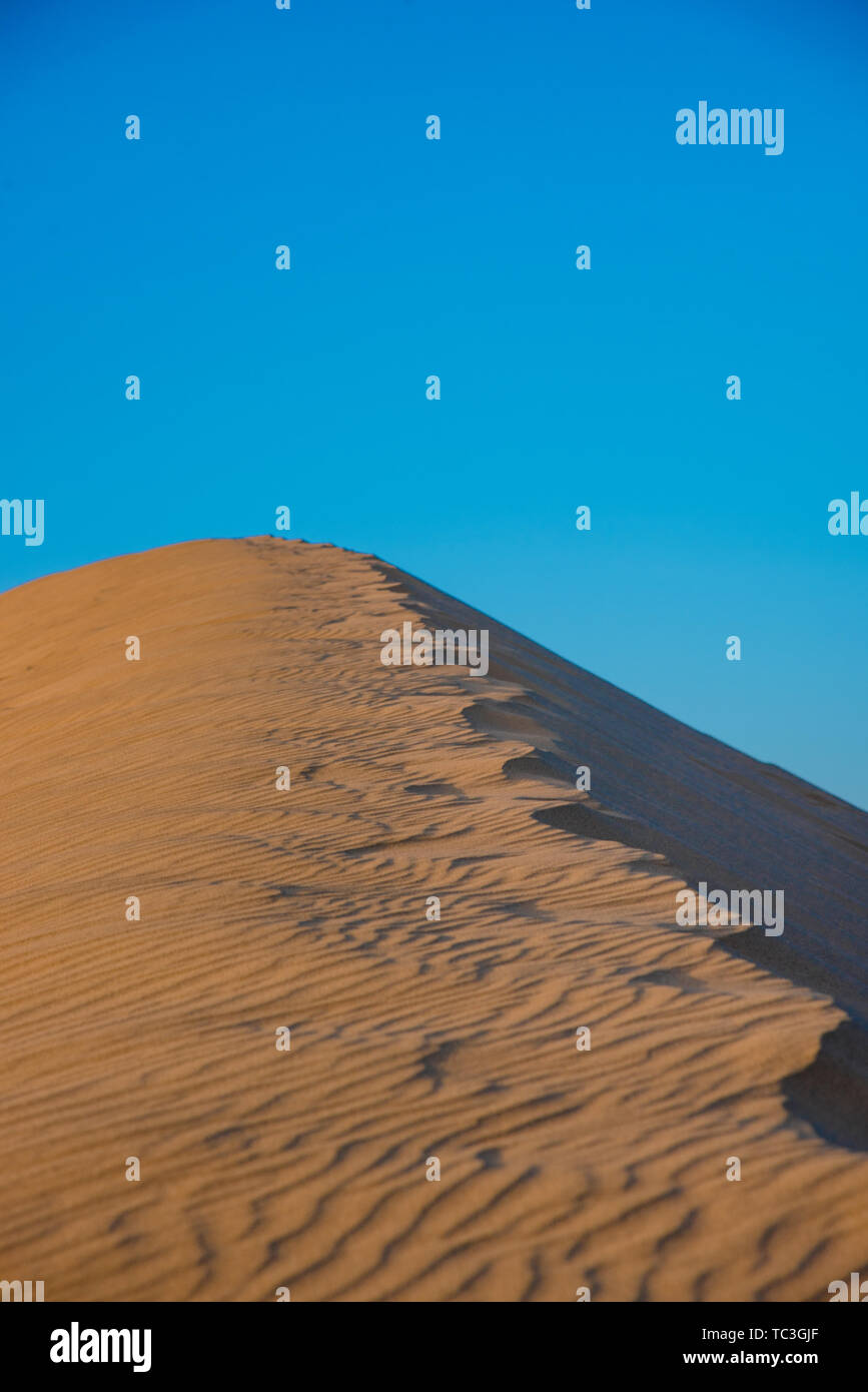 Eight Bridge in Hu Yang Lin Scenic Area of Alashan Desert, Alashan ...
