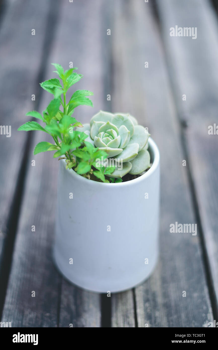 Wallpaper mage hi-res stock photography and images - Alamy