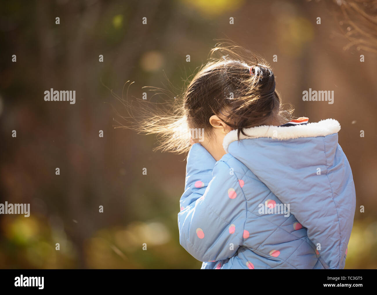 Autumn wind hi-res stock photography and images - Alamy