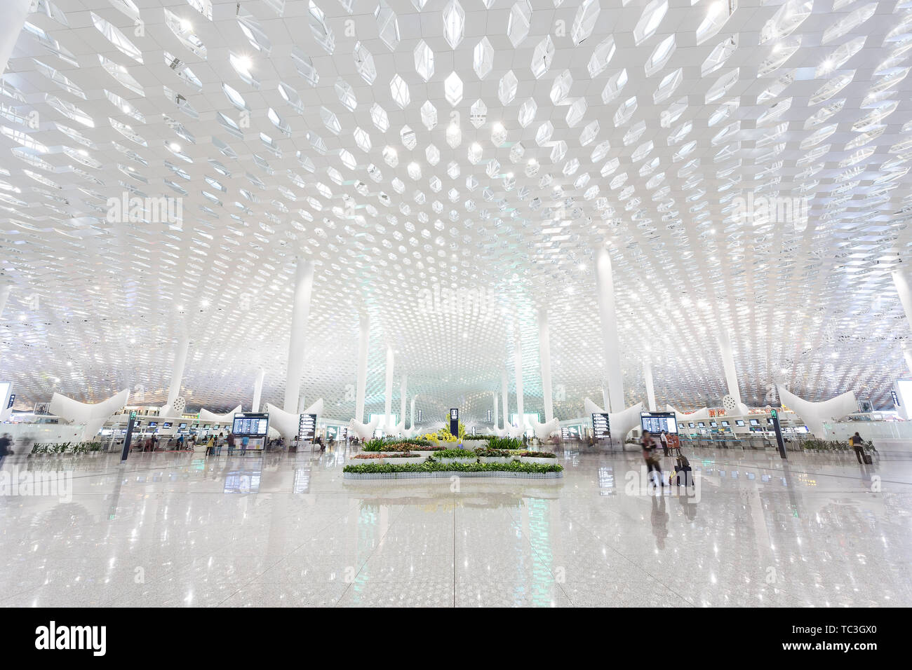 Modern airport terminal room Stock Photo - Alamy