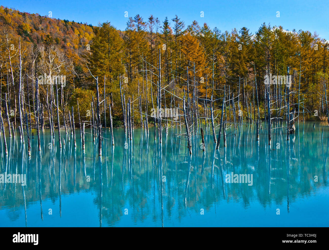 Qingchi hi-res stock photography and images - Alamy