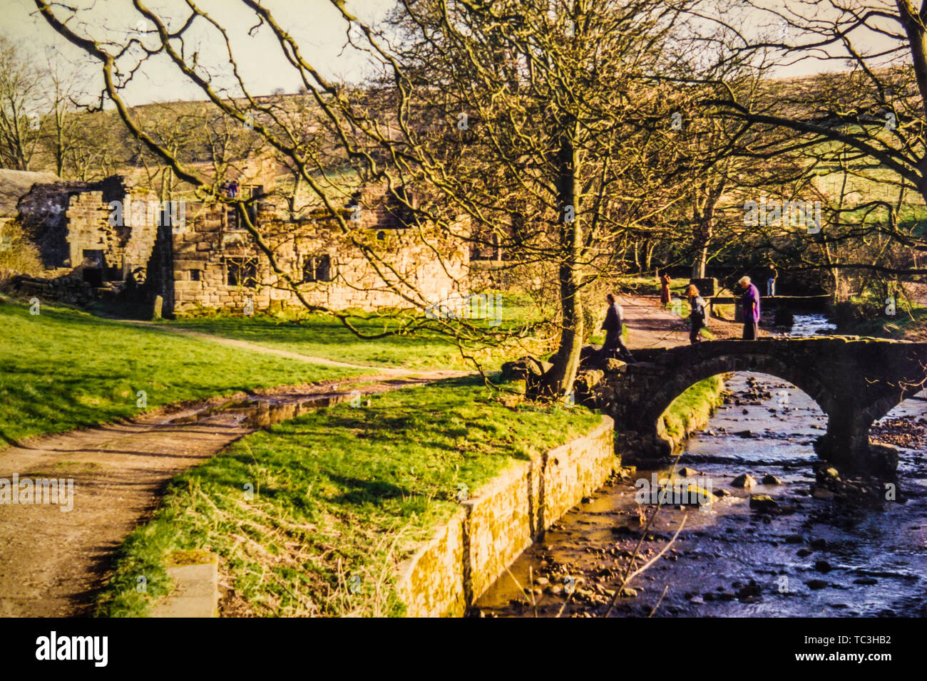 The pastoral landscape of England Stock Photo - Alamy