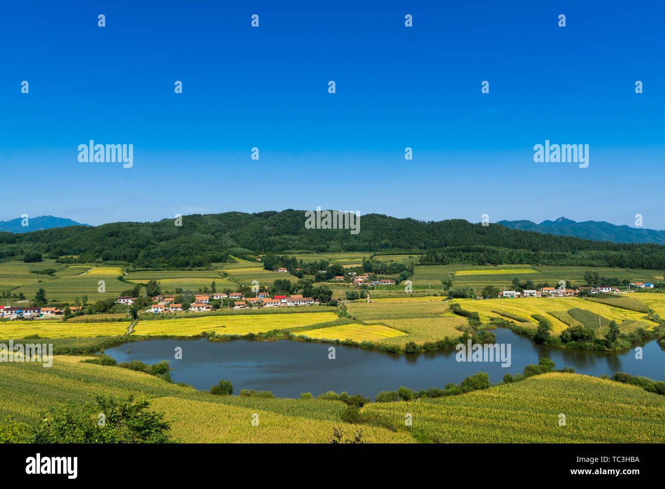 Fall country fields Stock Photo - Alamy