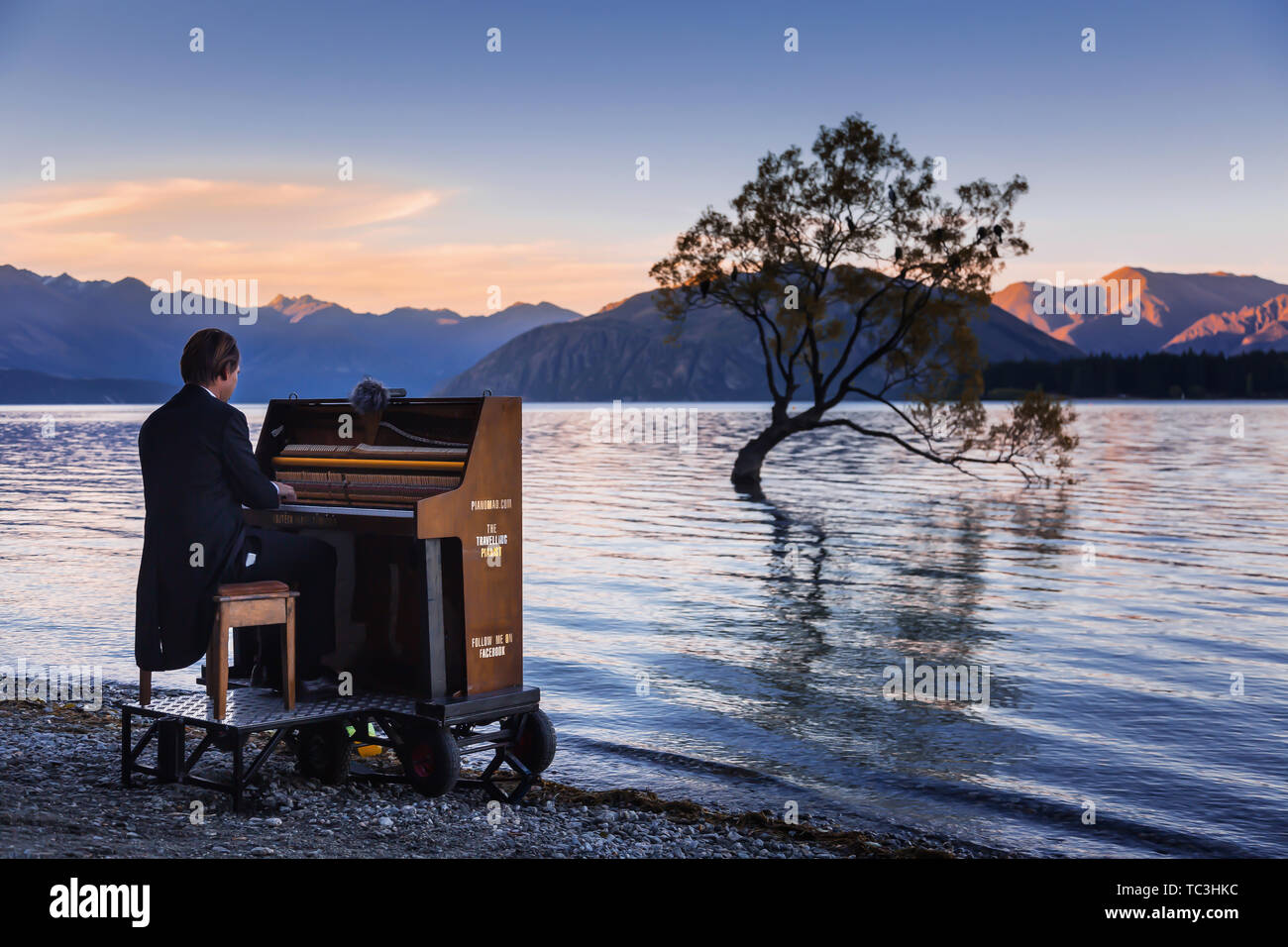Lake Vanaka, artist and lonely tree, picture harmony Stock Photo - Alamy