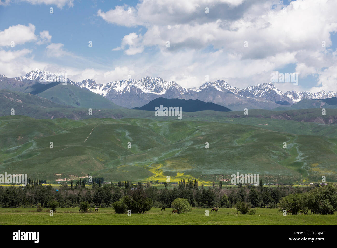 The Narati Prairie, which has a river valley and a mountain prairie ...