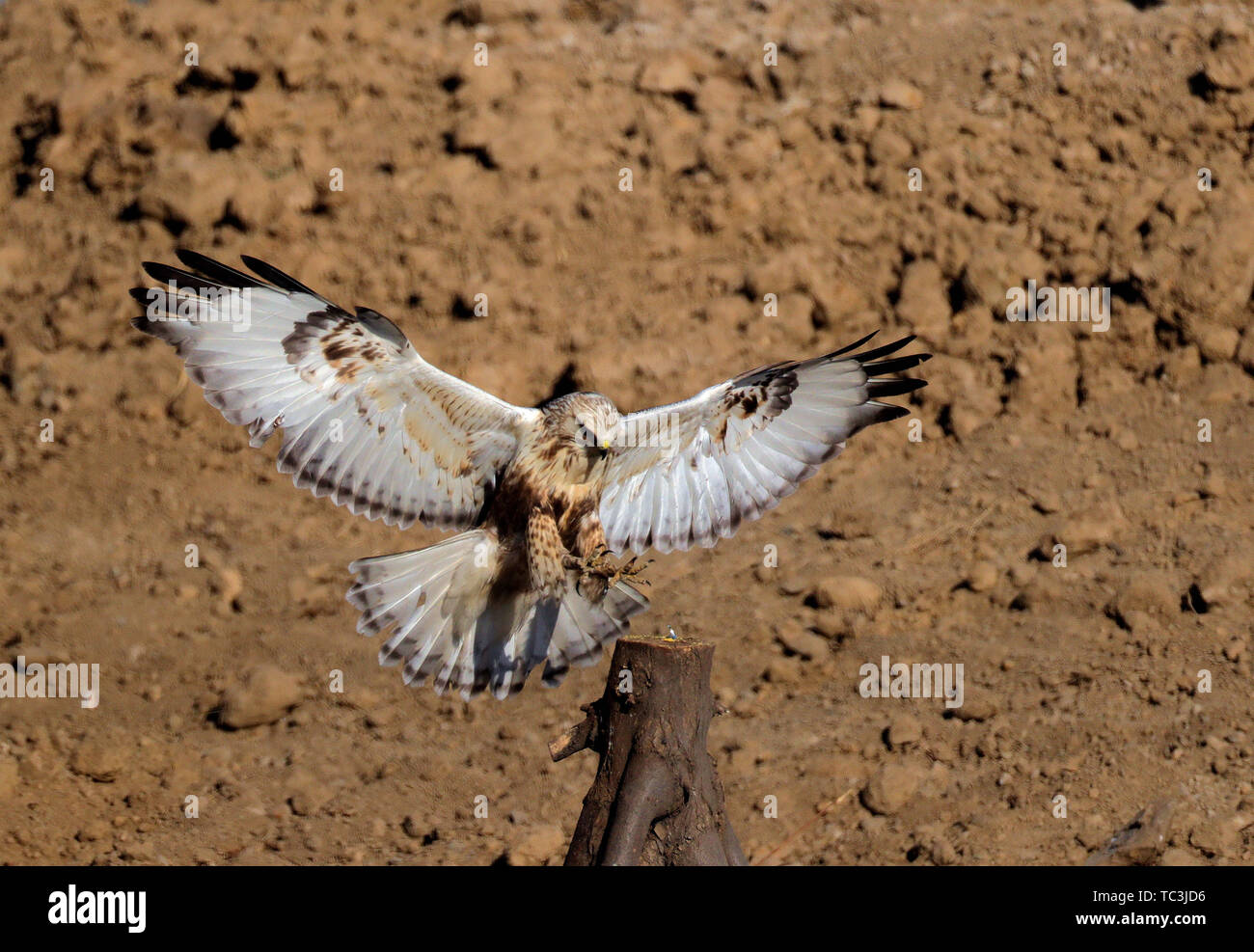 Limitation of liability hi-res stock photography and images - Alamy