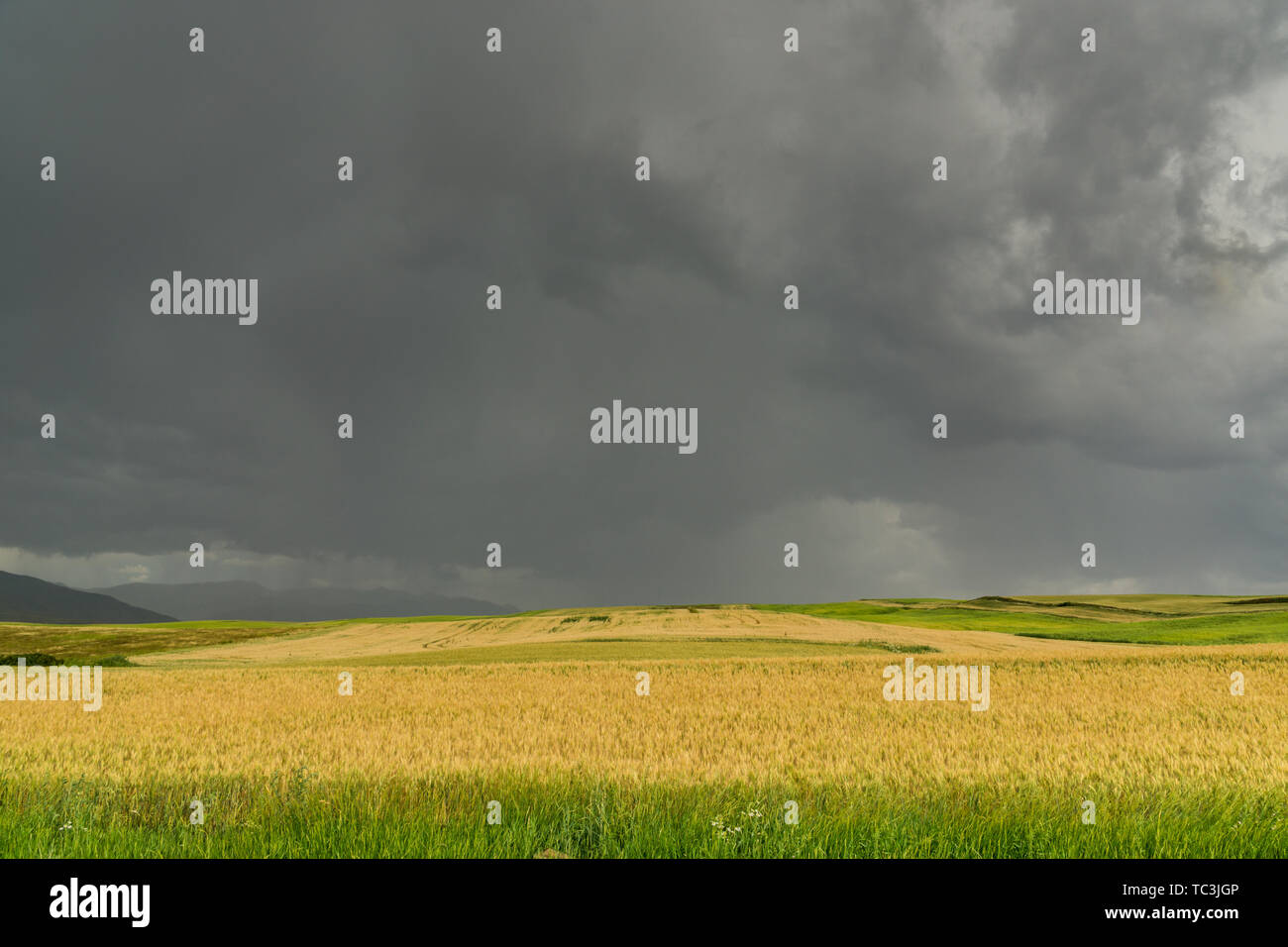 Hillside prairie villages under cloudy clouds Stock Photo - Alamy