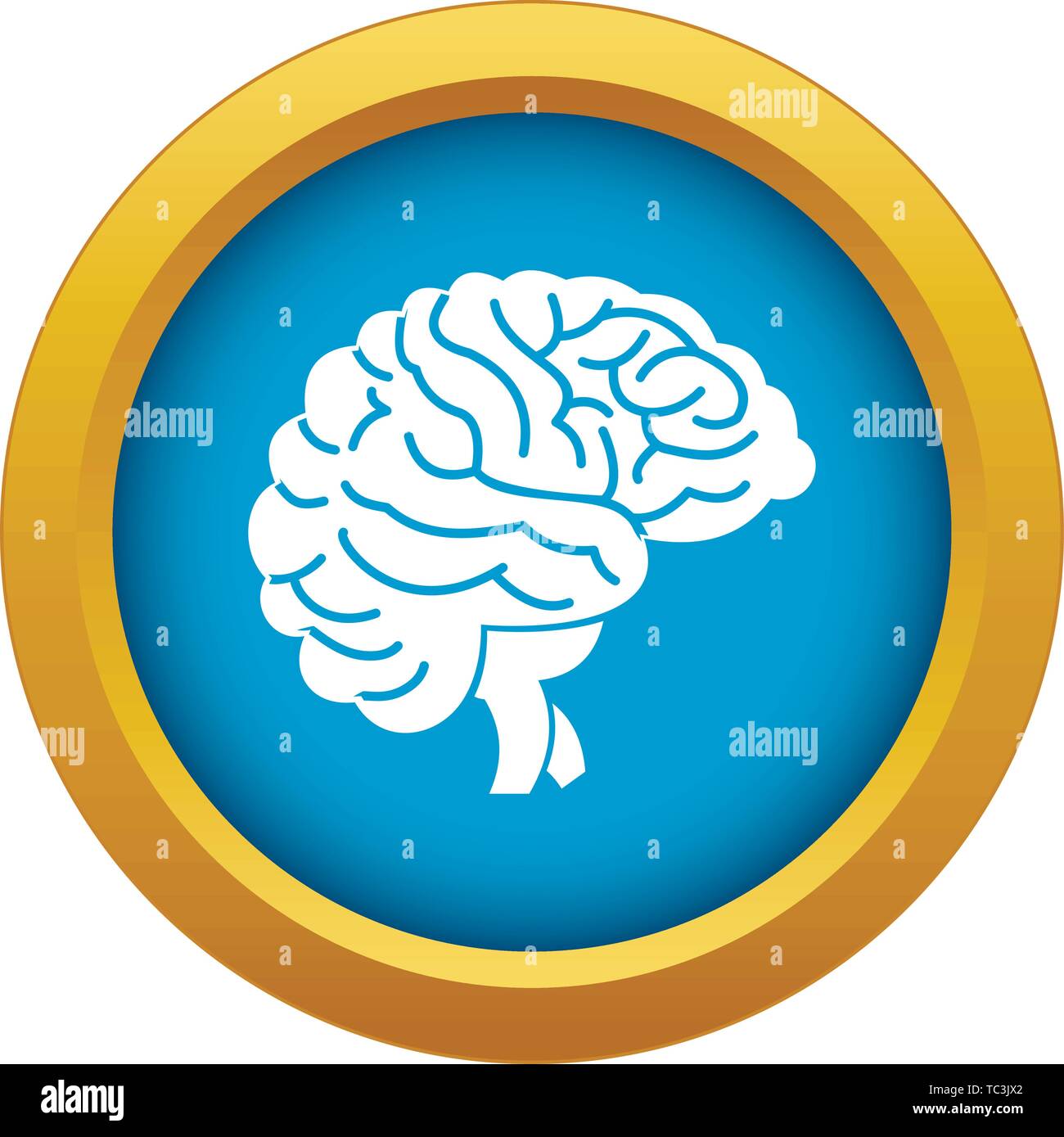 Brain icon blue vector isolated Stock Vector Image & Art - Alamy