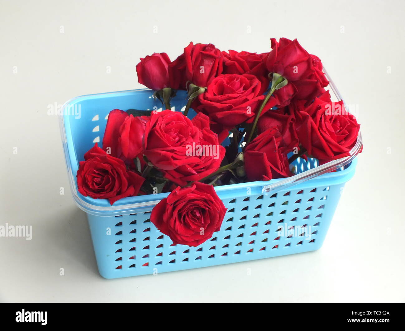 Red roses and ornaments architecture hi-res stock photography and ...