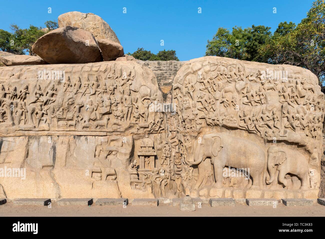 Arjuna's Penance, or Descent of the Ganges, rock relief with elephant ...