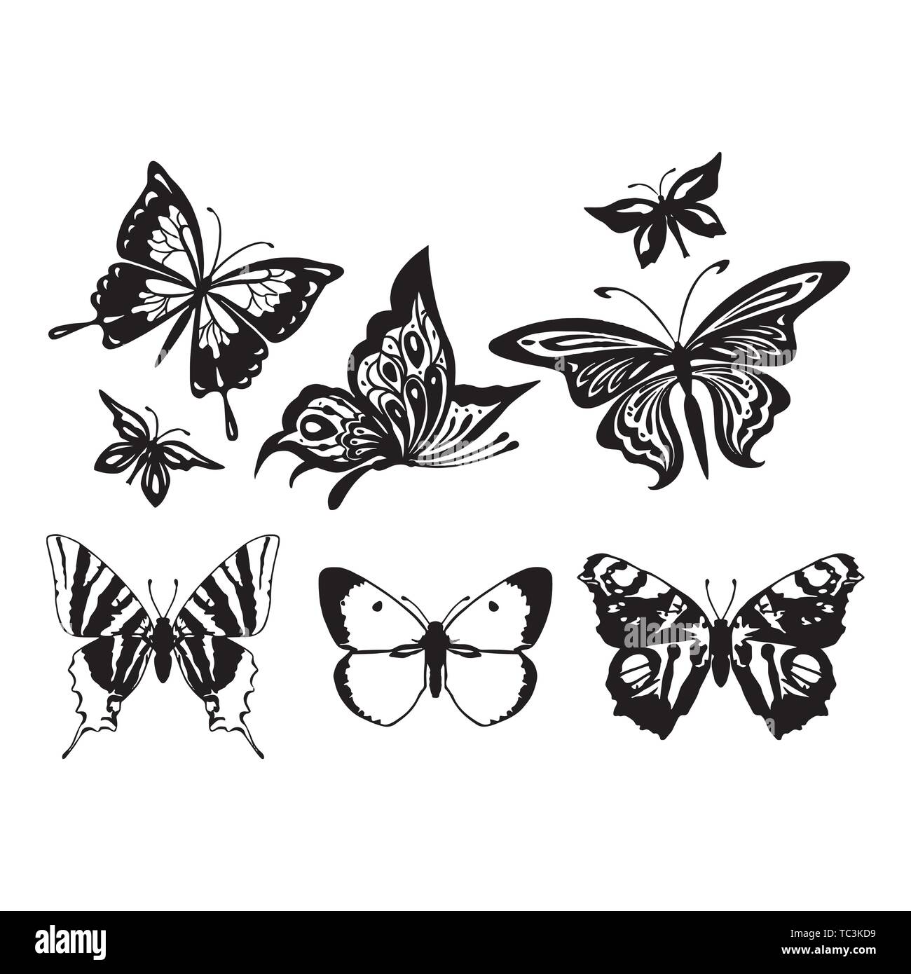 insect butterfly outline vector. nature coloring book insect butterfly ...