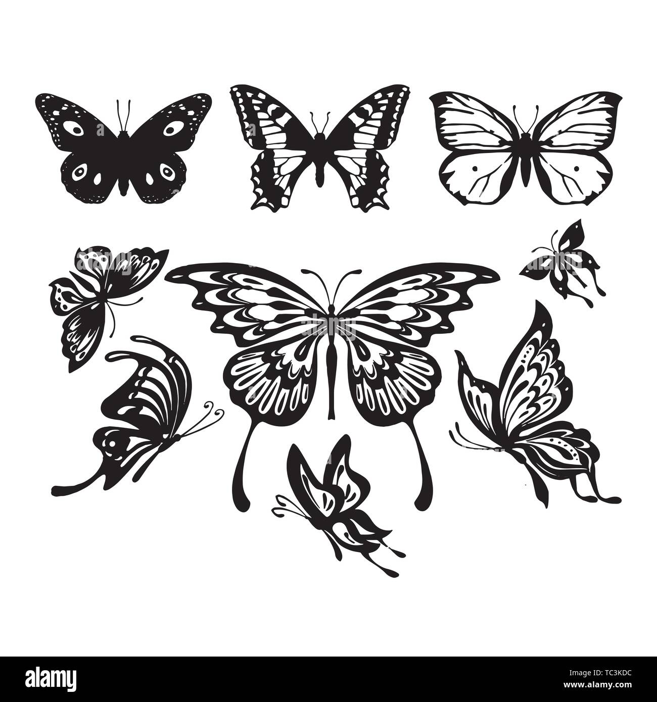 insect butterfly outline vector. nature coloring book insect butterfly ...