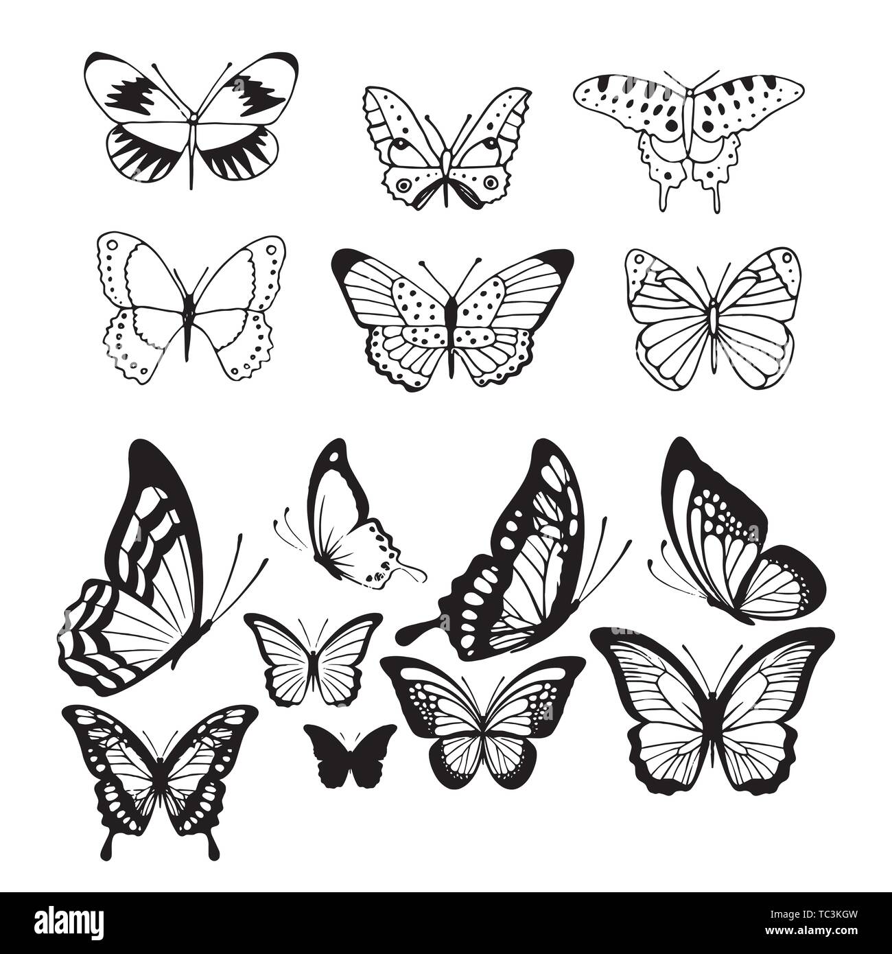 insect butterfly outline vector. nature coloring book insect butterfly ...