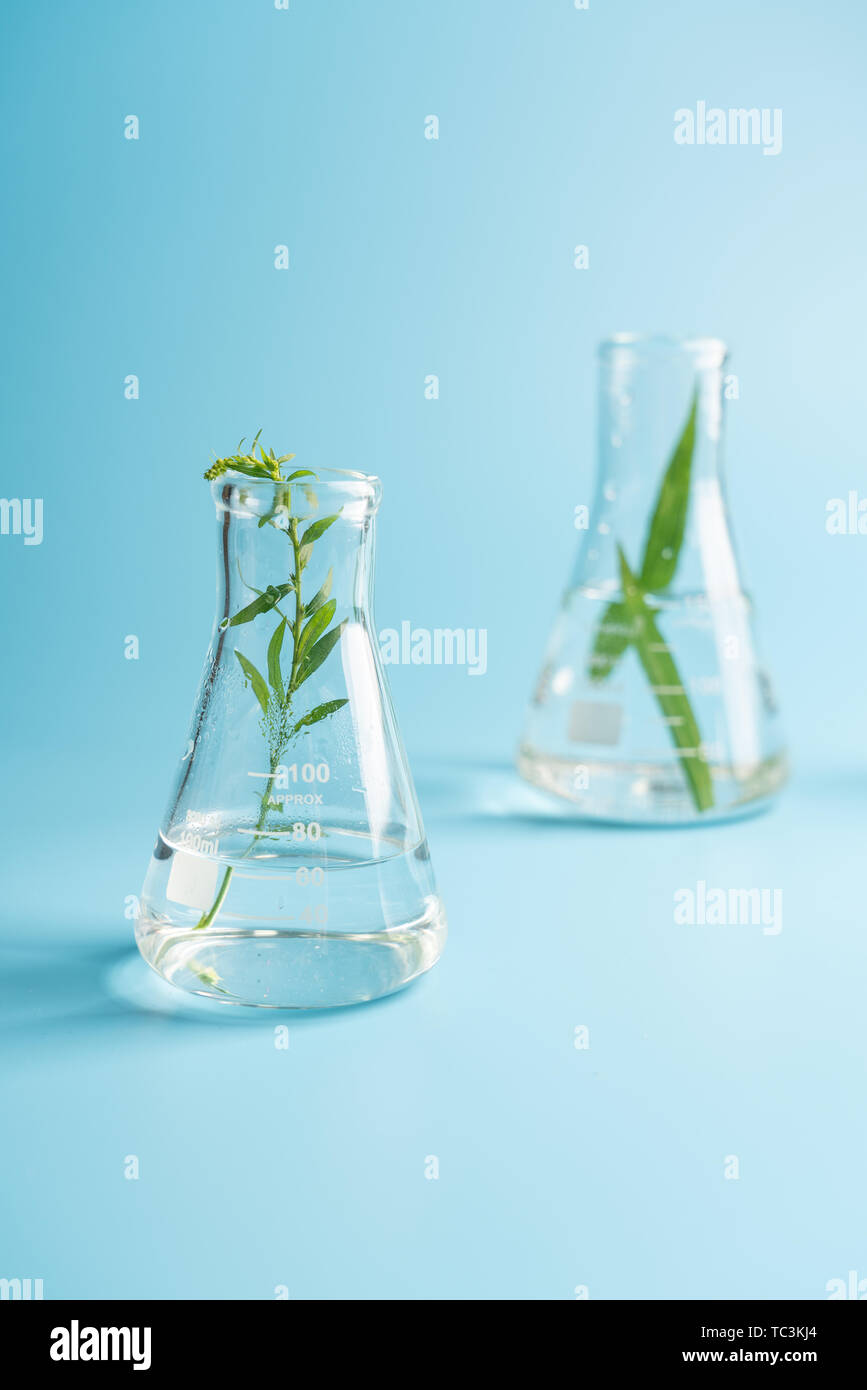 Glassware commonly used in medical testing and scientific experiments ...