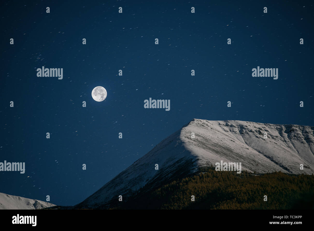 Round moon in the night sky Stock Photo - Alamy