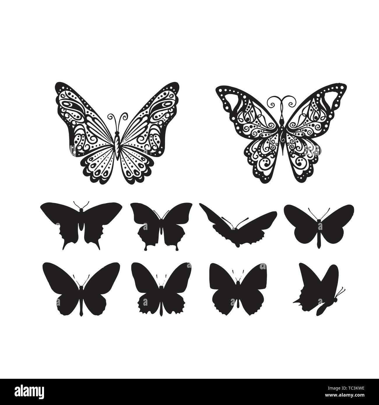 insect butterfly outline vector. nature coloring book insect butterfly ...