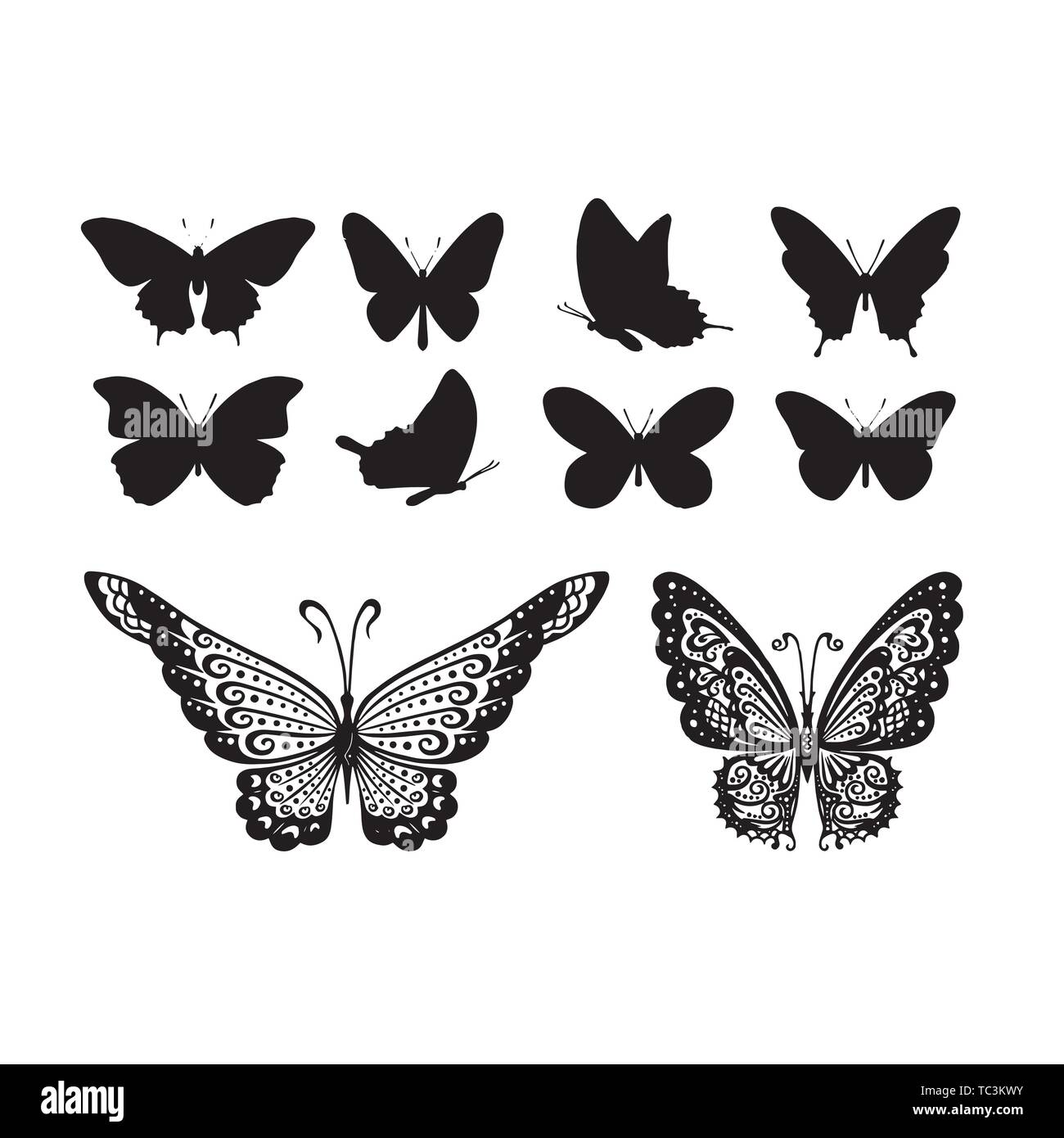 insect butterfly outline vector. nature coloring book insect butterfly ...