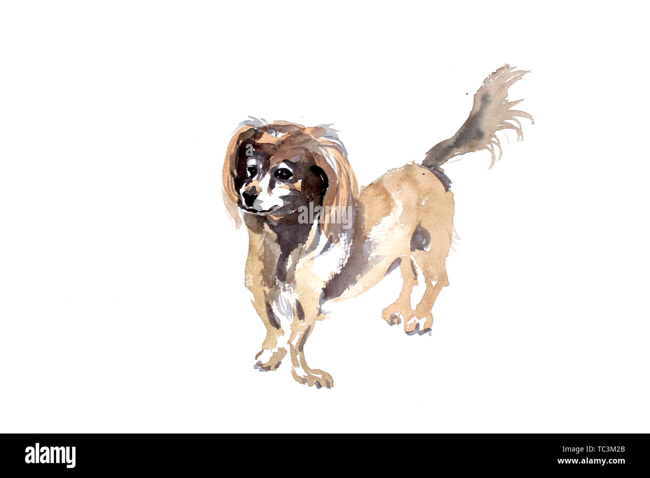 Dog hand-painted pet art painting, dog illustrations, cartoon ink funny ...