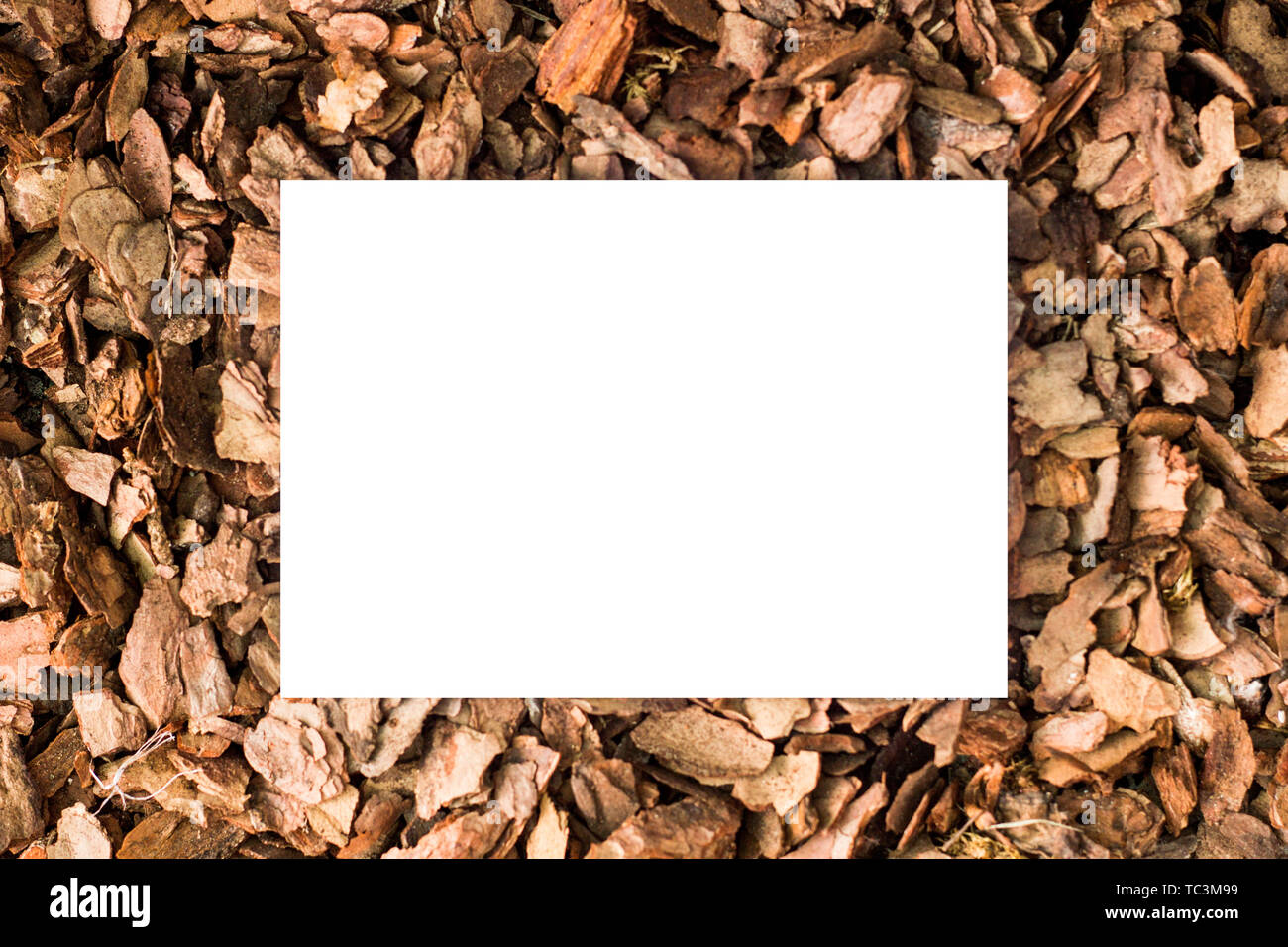 Rectangle dashed hi-res stock photography and images - Alamy