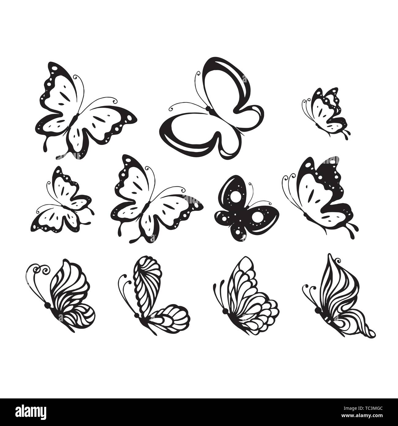 insect butterfly outline vector. nature coloring book insect butterfly ...