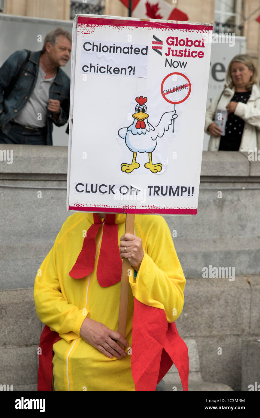 Trump chicken hi-res stock photography and images - Alamy