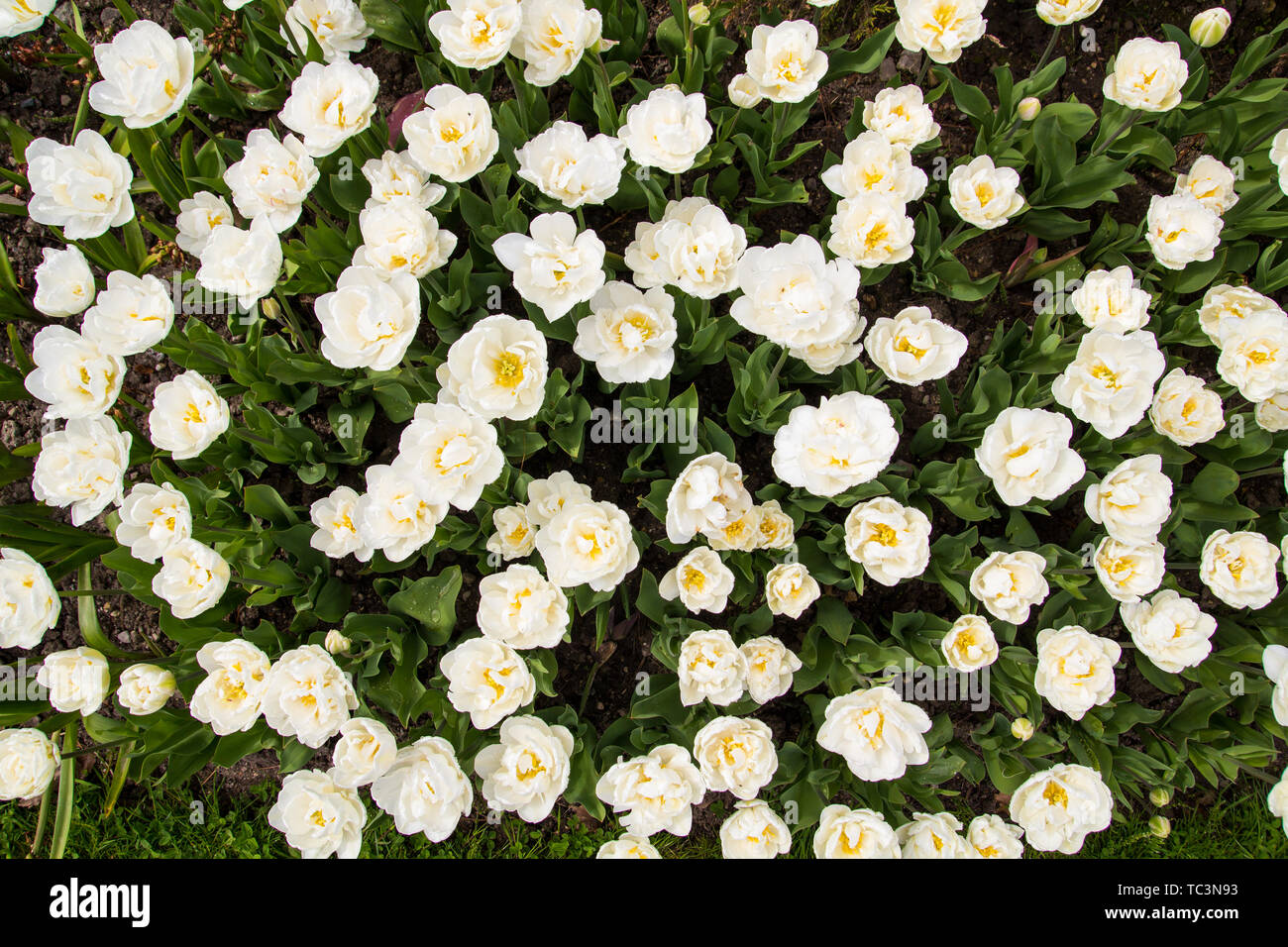 Image taken from season hi-res stock photography and images - Alamy