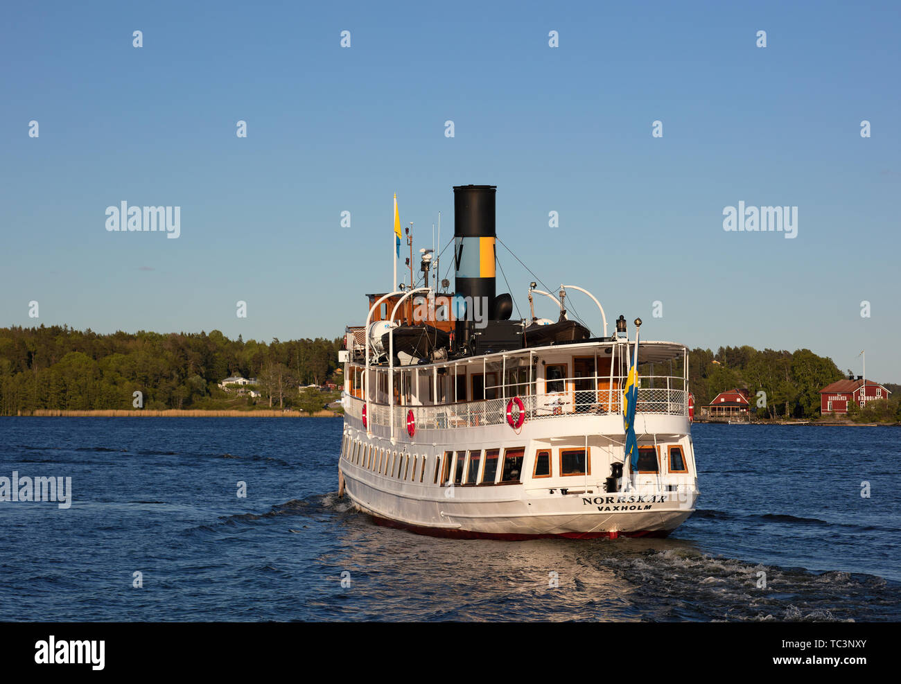 Steam bat hi-res stock photography and images - Alamy