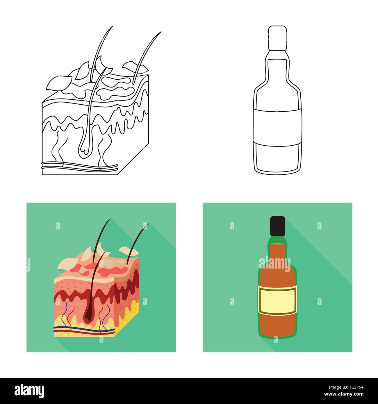 skin,epidermis,bottle,adipose,whiskey,tissue,alcohol,anatomy,drink,pore ...