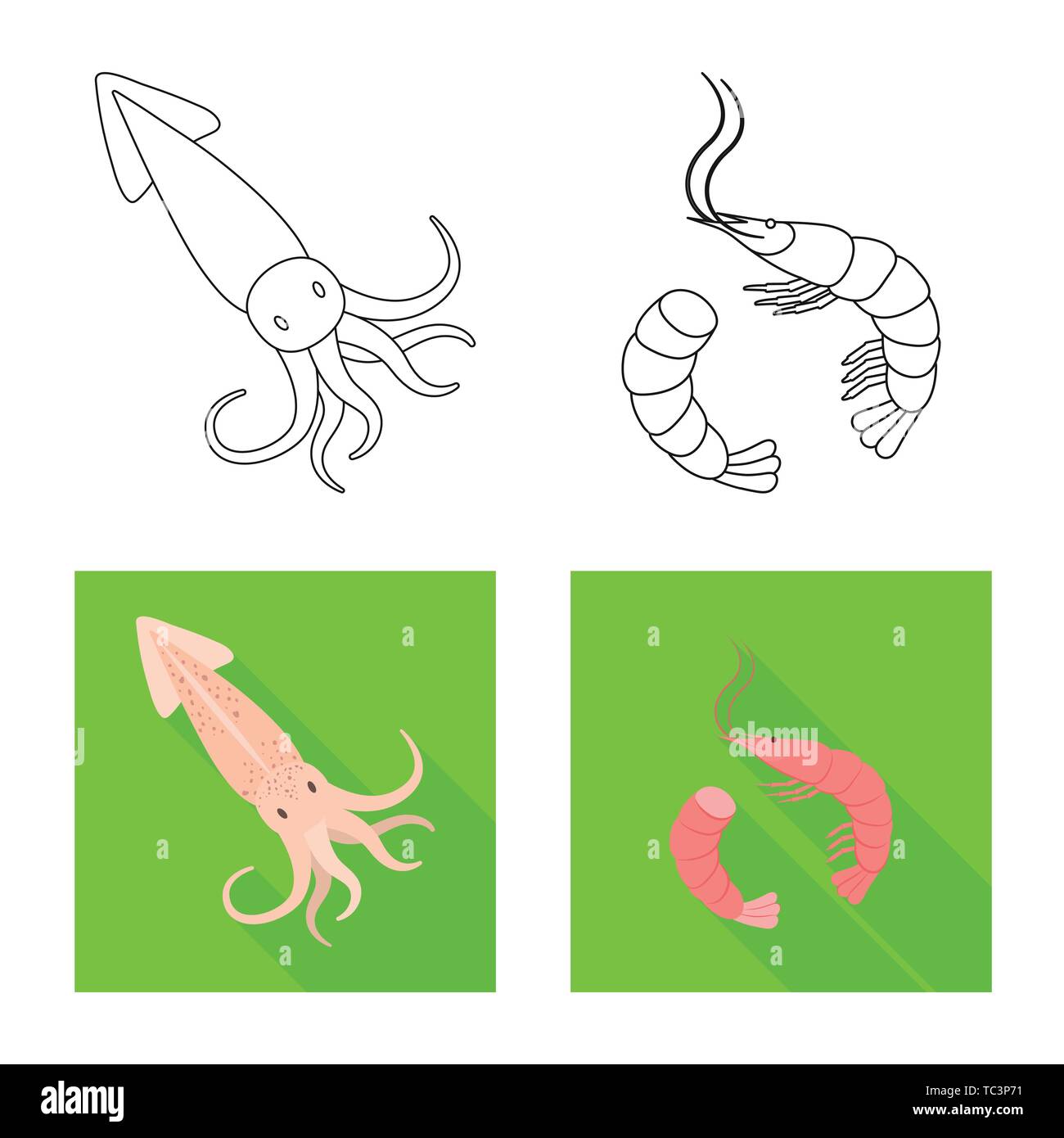 octopus,shrimp,squid,prawn,tentacle,fish,monster,menu,creature,lobster ...