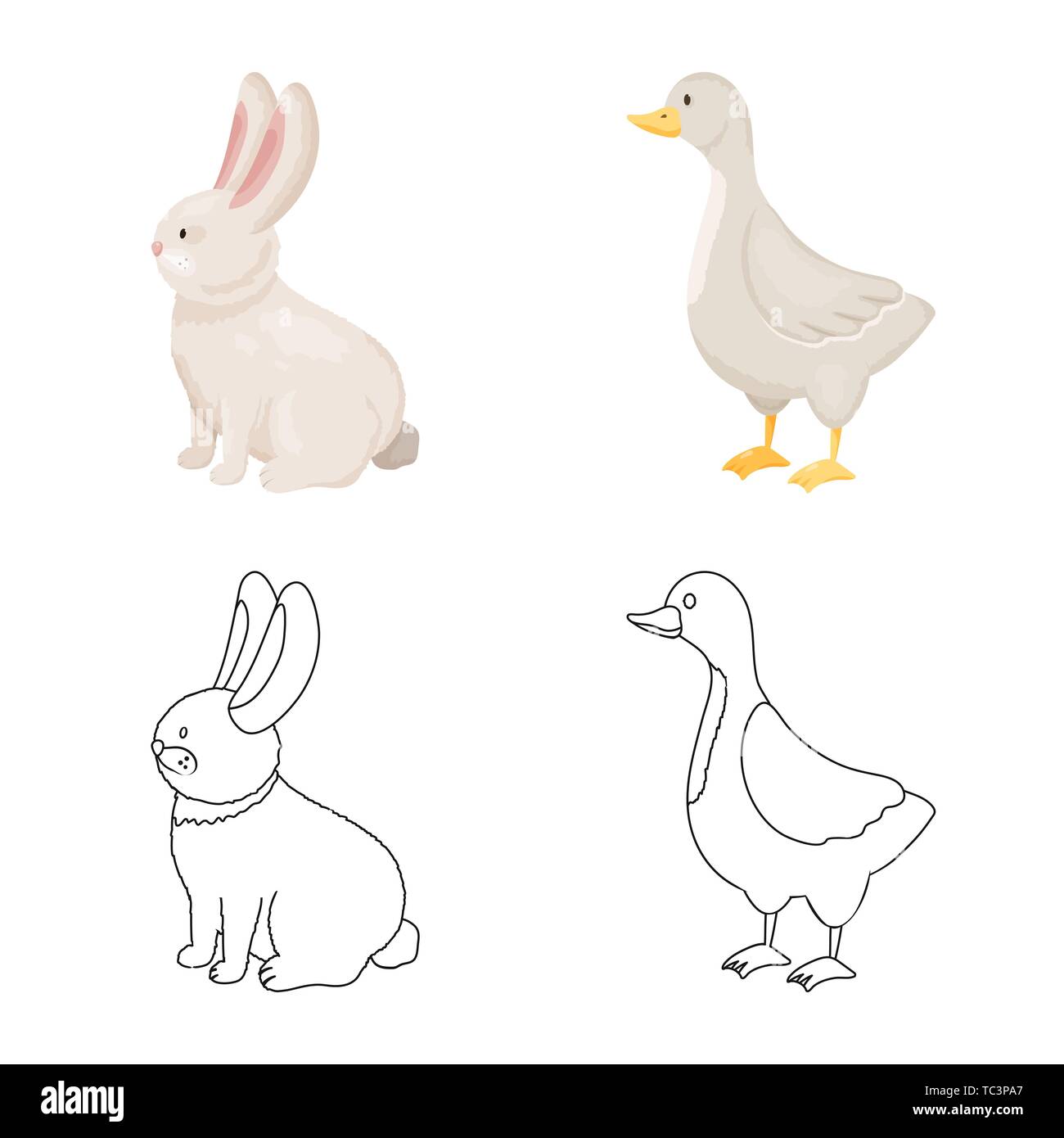 rabbit,goose,pet,animal,bird,bunny,Canada,meat,flying,white,duck,hare ...