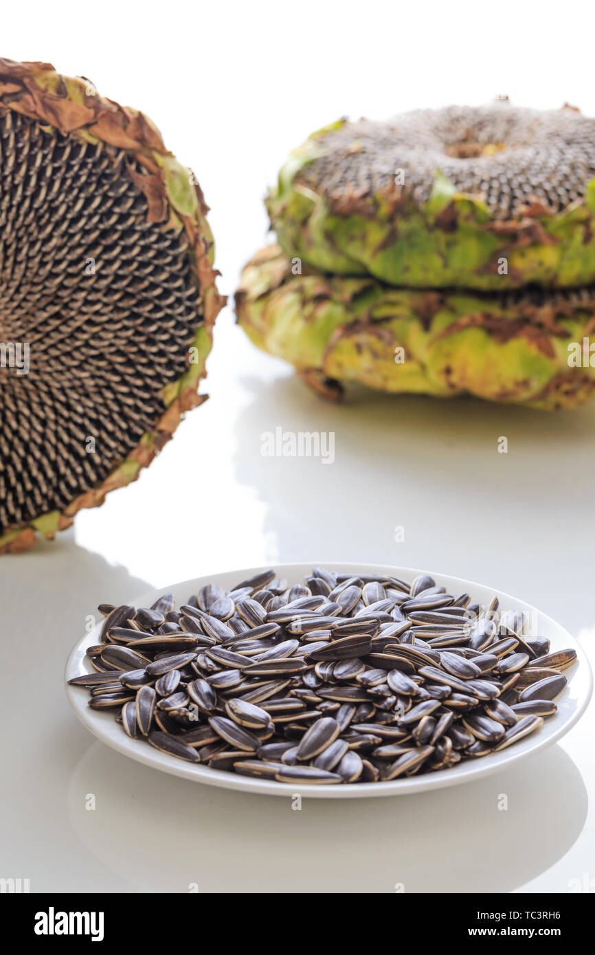 Fruit of sunflower - sunflower seeds Stock Photo - Alamy