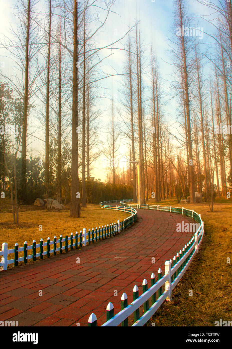 Quiet paths hi-res stock photography and images - Alamy