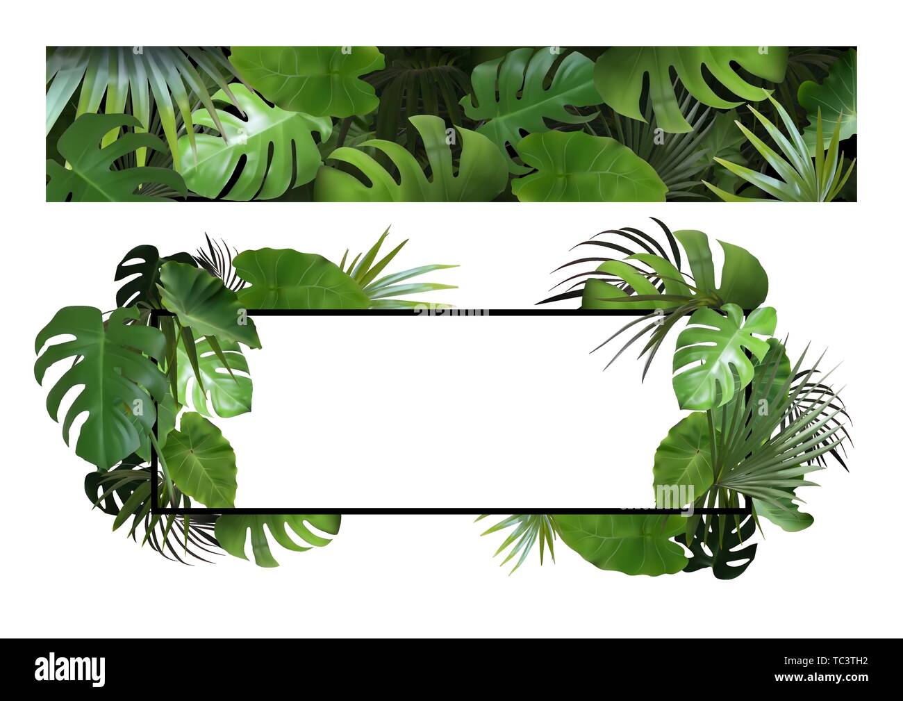 Set of Banners with Tropical Leaves Stock Vector Image & Art - Alamy