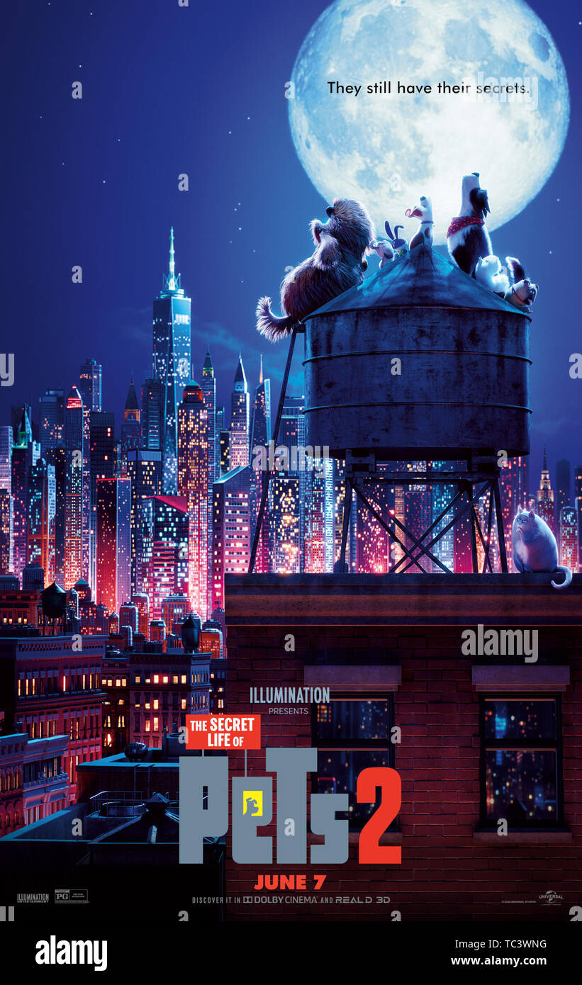 THE SECRET LIFE OF PETS 2, US advance poster, from left: Duke (voice ...