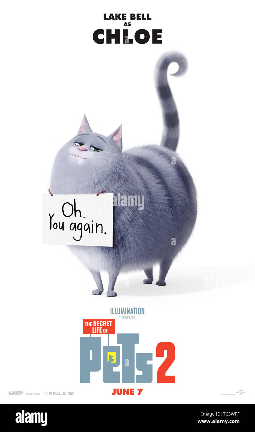 THE SECRET LIFE OF PETS 2, US character poster, Chloe (voice by Lake ...