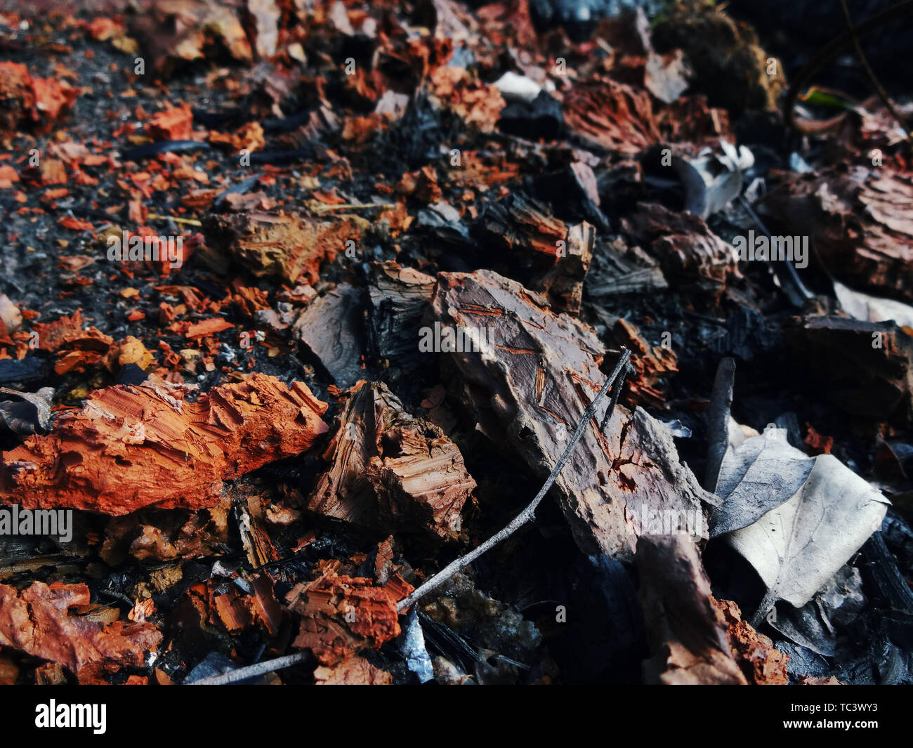 Ruins in the fire Stock Photo - Alamy
