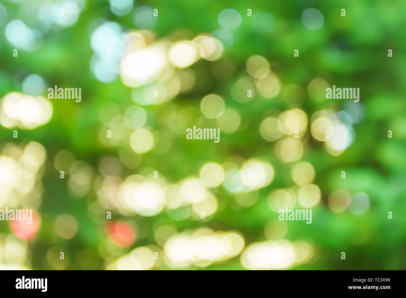 Blurred Nature Background Stock Photo - Alamy
