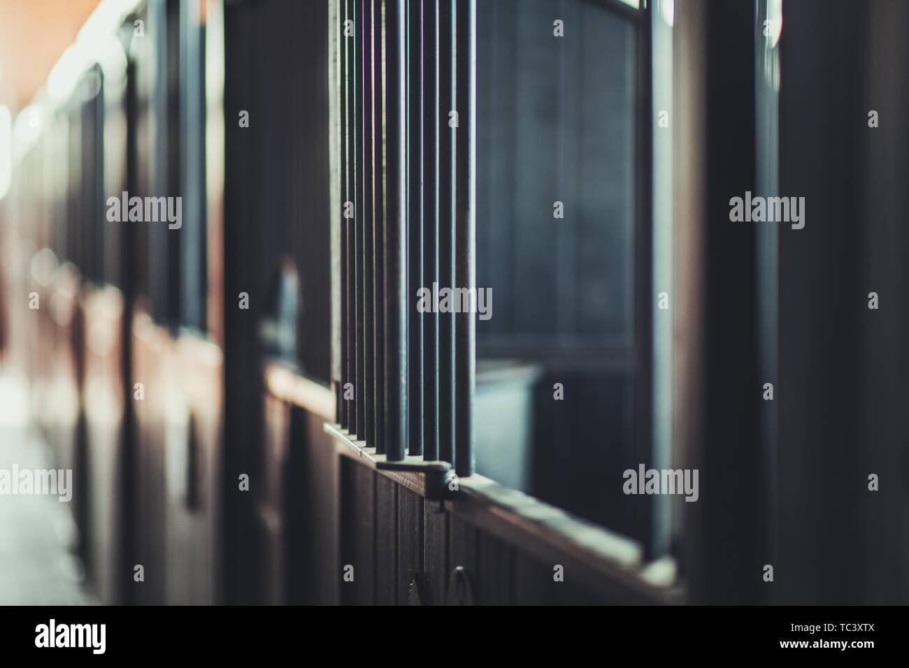 Equestrian Facility. Horse Boxes in a Stable. Perspective Shallow Depth ...