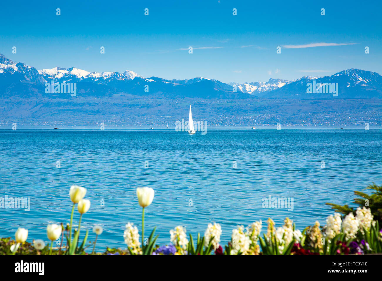 Geneva, switzerland summer mountains hi-res stock photography and ...