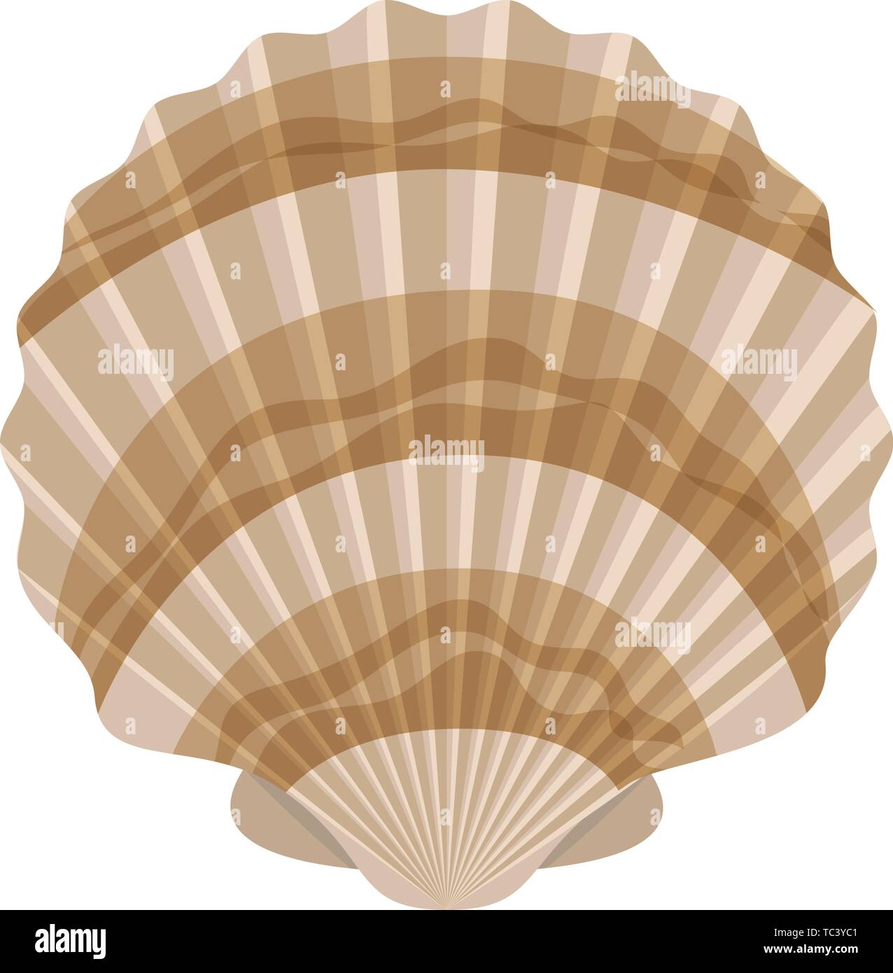 cute seashell on the sea in white background Stock Vector Image & Art ...