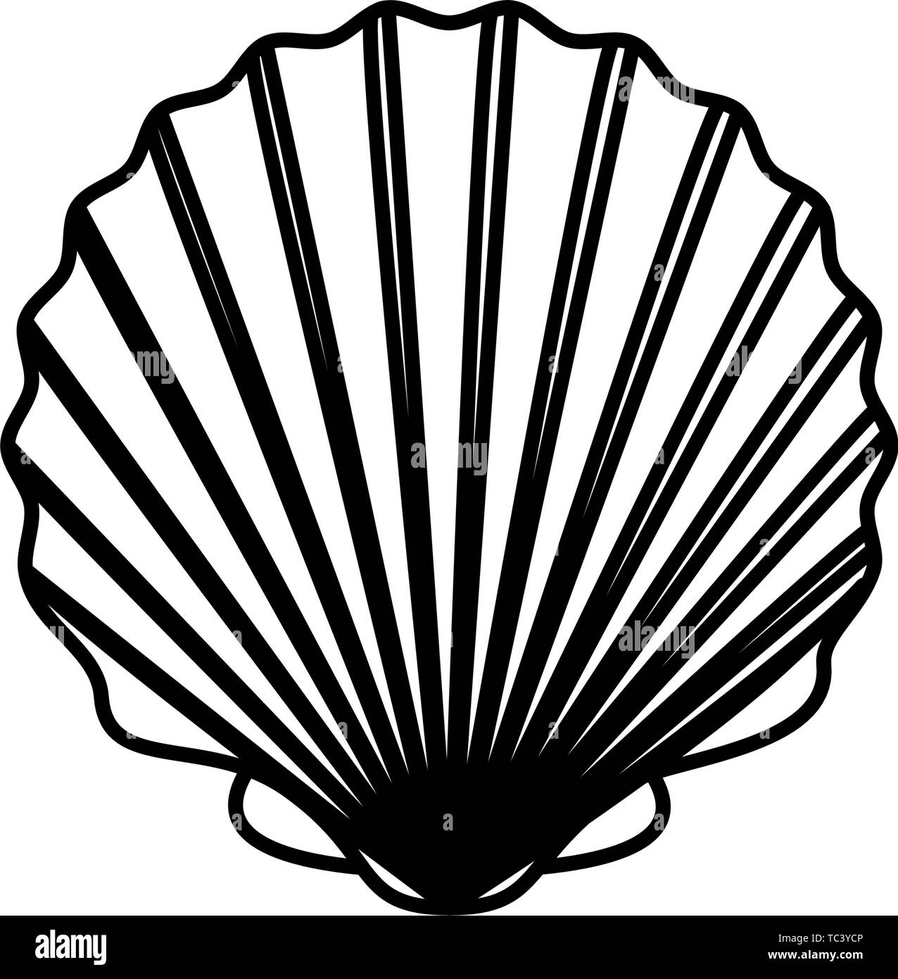 Seashell summer art in Black and White Stock Photos & Images - Alamy