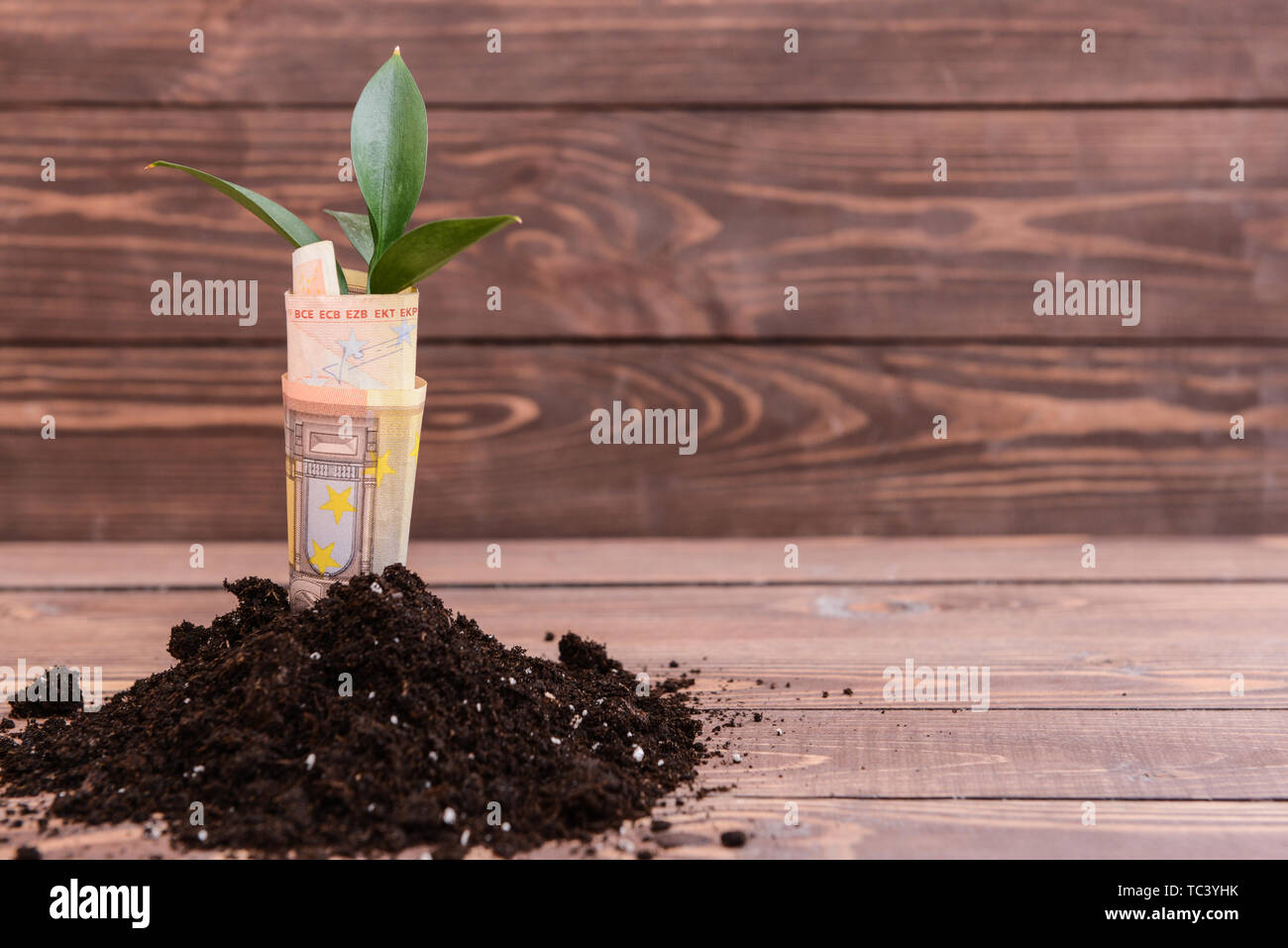 Soil with banknotes and growing plant on wooden table. Money savings ...
